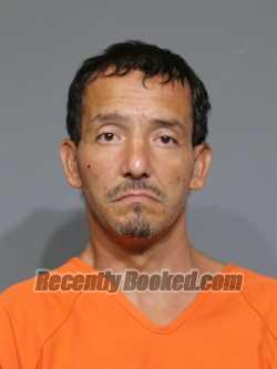 Recent Booking / Mugshot for Robert Daniel Hedgepath in York County ...