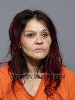 Recent Booking / Mugshot for Hope Lynette Hubbard in York County, South Carolina