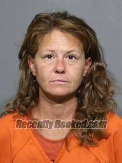 Recent Booking / Mugshot for Amanda Brooke Ferrell in York County ...