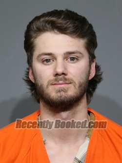 Recent Booking / Mugshot for Brandon Scott McCoy in York County, South ...