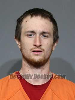 Recent Booking / Mugshot for Tyler Cole Moses in York County, South ...