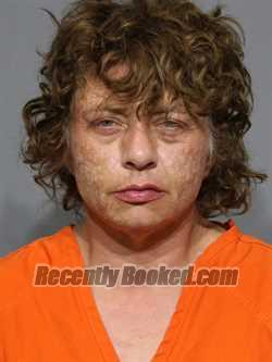 Recent Booking / Mugshot for Crystal Renee Childers in York County ...