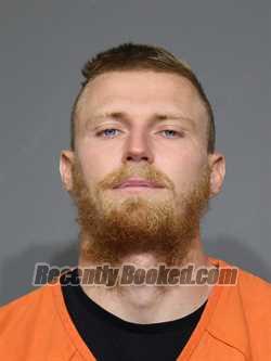 Recent Booking / Mugshot for Brett Andrew Netzer in York County, South ...