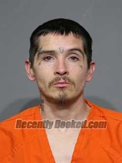 Recent Booking / Mugshot for Travis Dwayne Stokes in York County, South ...