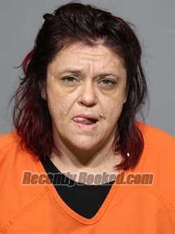 Recent Booking / Mugshot for Amanda Lee Clinton in York County, South ...