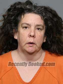 Recent Booking / Mugshot for Melissa Daniell Brown in York County ...