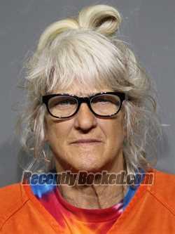 Recent Booking / Mugshot for Debra Jean Overton in York County, South ...