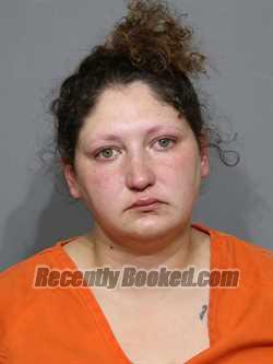 Recent Booking / Mugshot for Kaycee Thomas Hayes in York County, South ...