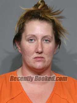 Recent Booking / Mugshot for Holly Wanger Tedder in York County, South ...