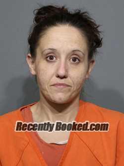 Recent Booking / Mugshot for Nicole Mary Popowski in York County, South ...