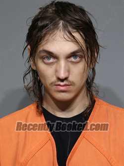 Recent Booking / Mugshot for Zachery Tyler Ammons in York County, South ...