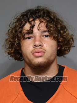 Recent Booking / Mugshot for Ajani Leonard Martin in York County, South ...