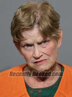 Recent Booking / Mugshot for Patricia Gail McCormick in York County ...