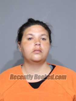 Recent Booking / Mugshot for Jessica Renee Hinson in York County, South ...