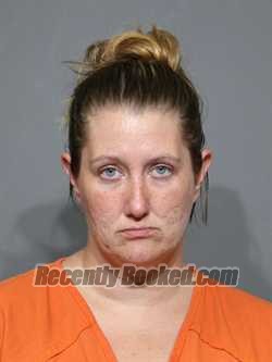 Recent Booking / Mugshot for Holly Wanger Tedder in York County, South ...