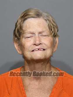 Recent Booking / Mugshot for Patricia Gail McCormick in York County ...