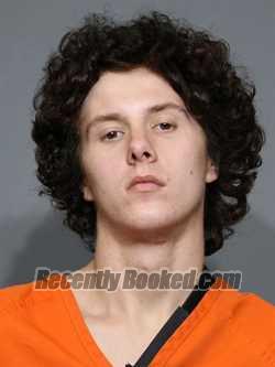 Recent Booking / Mugshot for Dyson Jeremiah Griffin in York County ...