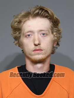Recent Booking / Mugshot for Alexander Chase Hogan in York County ...