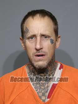 Recent Booking / Mugshot for Andy Trinity Cook in York County, South ...