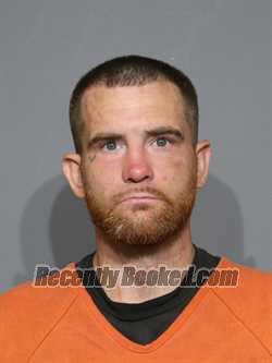Recent Booking / Mugshot for Eric Matthew Robinson in York County ...