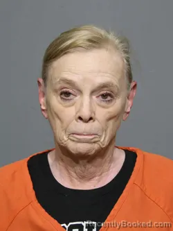 Susan Forsyth Hinton Mugshot & Arrest Info | York County, SC