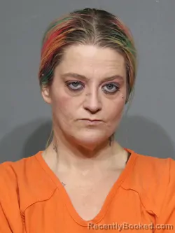 Candace Irene Wallace Arrest Record & Booking Info – York County, South ...