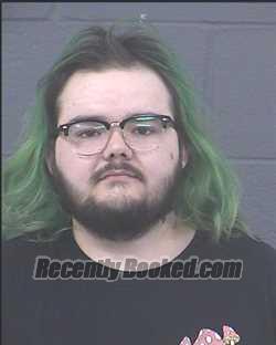 Recent Booking / Mugshot for TRAVIS RAY BRUCE in Power County, Idaho