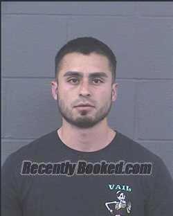 Recent Booking / Mugshot for RODOLFO PALACIOS-RANGEL in Power County, Idaho