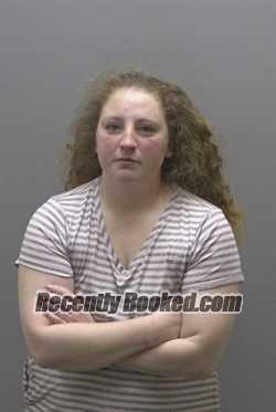 Recent Booking / Mugshot for MEGAN HOLLAND WRENN in Alamance County ...