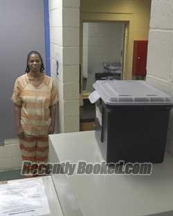 Recent Booking / Mugshot for CARISSA MICHELLE GRAVES in Alamance County ...