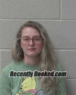 Recent Booking / Mugshot for NICHOLE SUE RUGGIERO in Alexander County ...