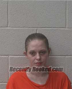 Recent Booking / Mugshot for BRANDY DIANE BENGE in Alexander County ...