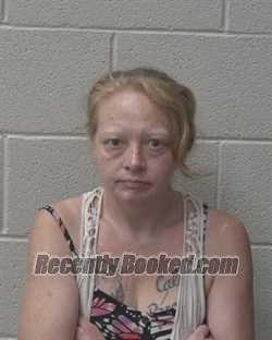 Recent Booking / Mugshot for NATASHA DANIELLE STEELE in Alexander ...