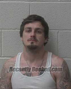 Recent Booking / Mugshot for GARY TYLER NELSON in Alexander County ...