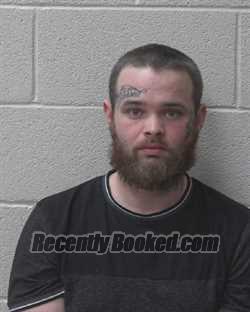 Recent Booking / Mugshot for AARON LEE RAY in Alexander County, North ...