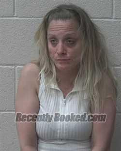 Recent Booking / Mugshot for HEATHER MICHELLE HARRIS in Alexander ...