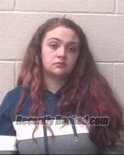 Recent Booking / Mugshot for SELENA MICHELLE MINTER in Alexander County ...