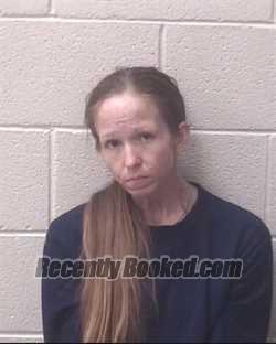 Recent Booking / Mugshot for AMY MICHELLE SCARBROUGH in Alexander ...