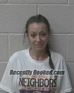 Recent Booking / Mugshot for JEREMY WILSON MCLEAN in Alexander County ...