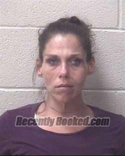 Recent Booking / Mugshot for RACHEL LOUISE HICKS in Alexander County ...