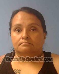 Recent Booking / Mugshot for MARIA INOCENCIA SALAZAR in Del Norte ...