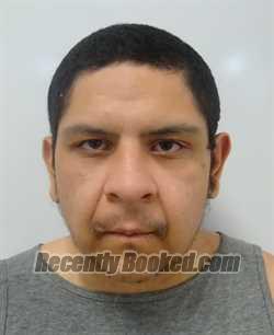 Recent Booking / Mugshot for TONY MATTHEW GARIBAY in Lake County ...