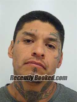 Recent Booking / Mugshot for JUSTIN DALE BURROWS in Lake County, California