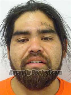 Recent Booking / Mugshot for JOE NATHAN BOGGS in Lake County, California