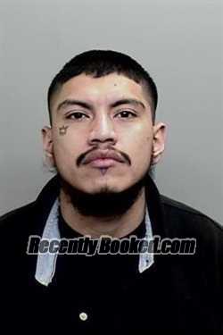 Recent Booking / Mugshot for JAIME JUAREZ MARIN in Mendocino County ...