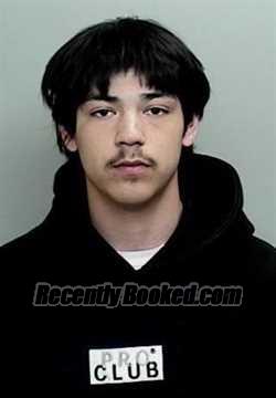 Recent Booking / Mugshot for JACINTO CARLOS TUPPER in Mendocino County ...