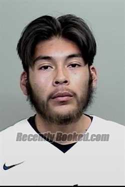 Recent Booking / Mugshot for SAMUEL JOSE PANAMENO in Mendocino County ...