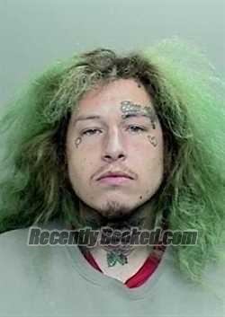 Recent Booking / Mugshot for JOSEY EDWARD SCHWESTAK in Mendocino County ...