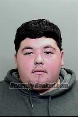 Recent Booking / Mugshot for ROBERTO JUNIOR TORRES in Mendocino County ...