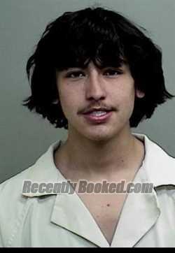 Recent Booking / Mugshot for SERGIO ANDRES MALAGON in Mendocino County, California